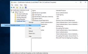 Create a certificate from the Windows CA – My introduction
